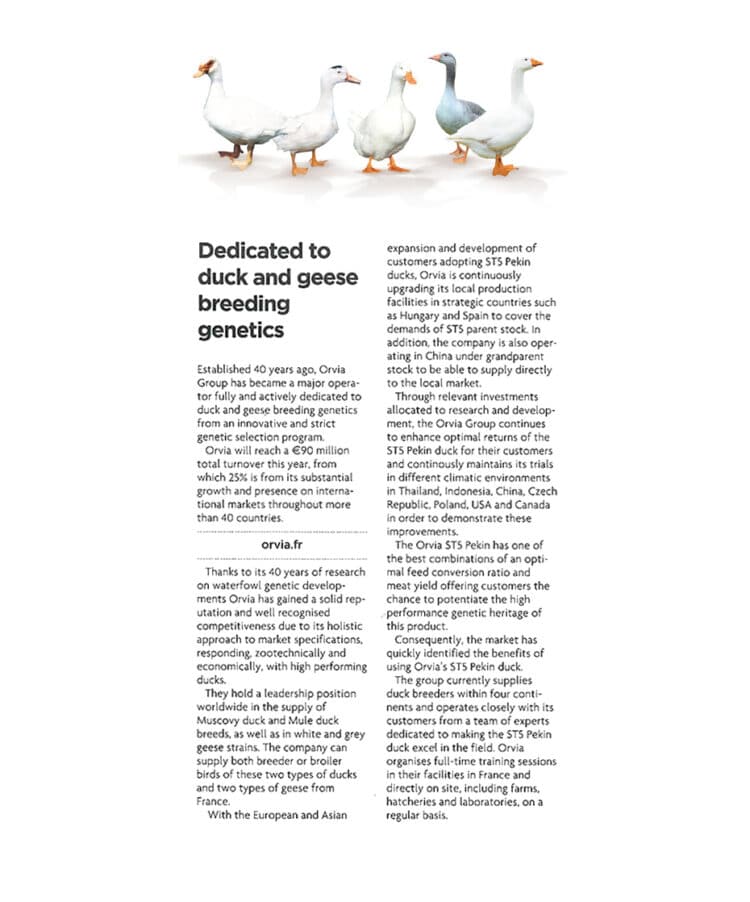 OCT. 2019 - Delicated to duck and geese breeding genetics - Orvia