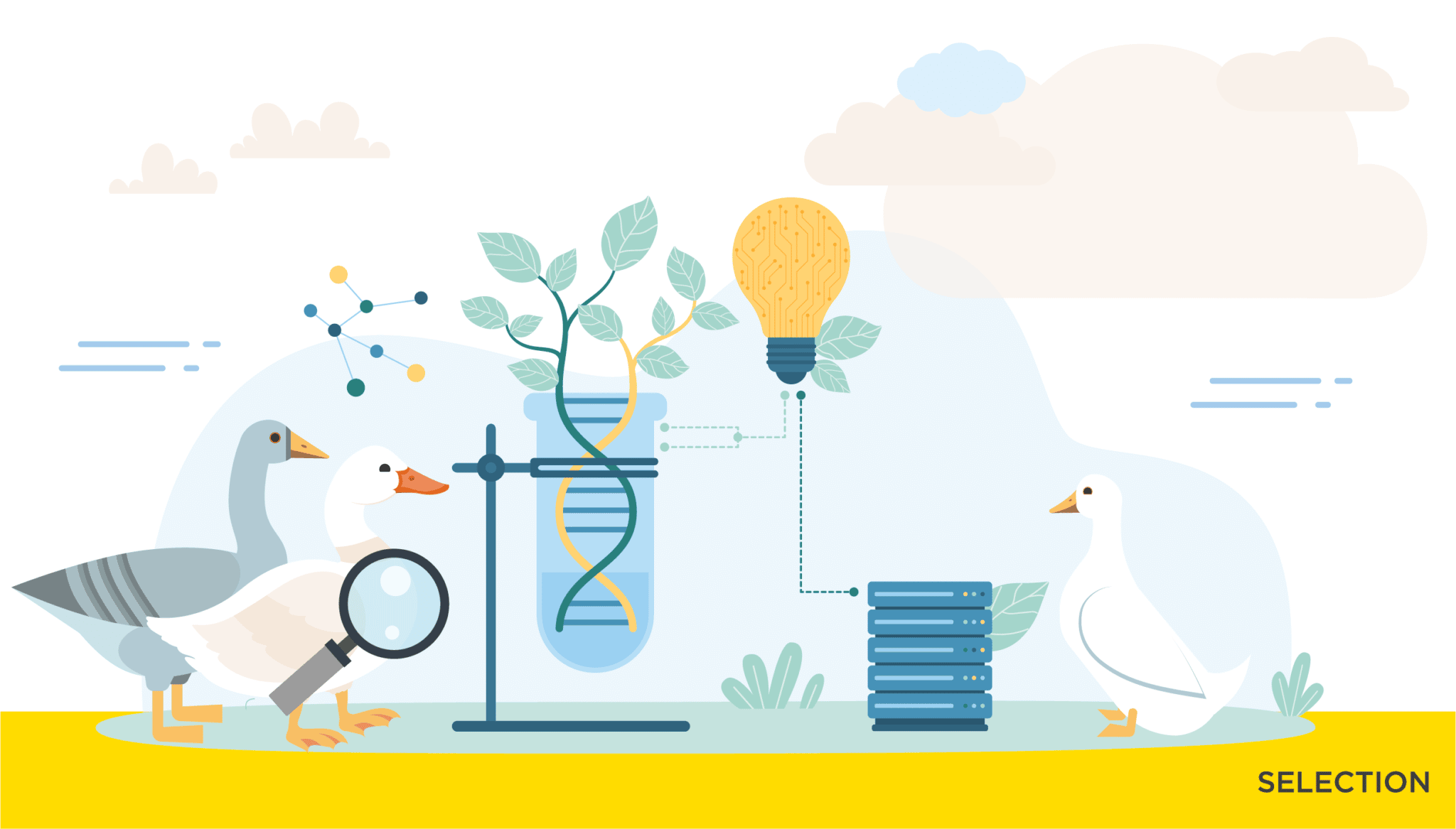 ORVIA VIETNAM - Orvia