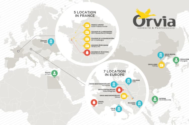 WORLDWIDE STRATEGY - Orvia