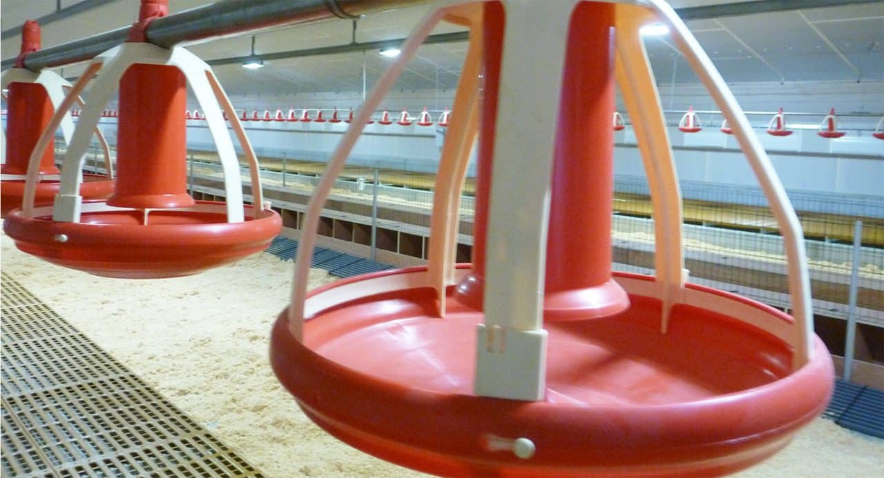 Our activities & our expertises - Orvia