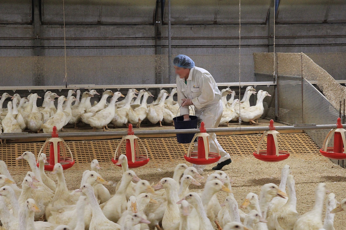 Sept. 2024 - L'actualité du Groupe - Orvia